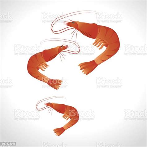 정원이 바다빛 음식 갑각류에 대한 스톡 벡터 아트 및 기타 이미지 갑각류 건강한 생활방식 건강한 식생활 Istock