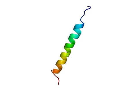 Secondary Structure Elements Download Scientific Diagram
