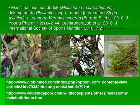 Ppt Agr 3102 Principles Of Weed Science Powerpoint Presentation Free