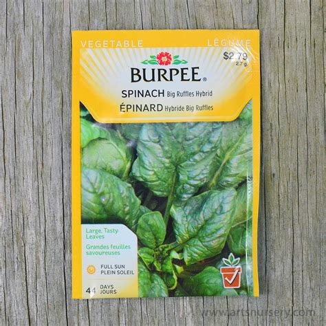 Big Ruffles Hybrid Spinach Seeds Burpee Arts Nursery Ltd