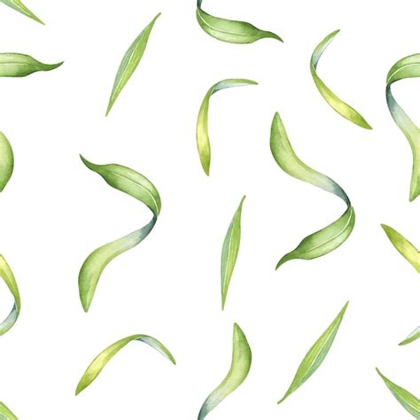 Premium Vector Palm Leaves Of Acai Tree Watercolor Seamless Pattern