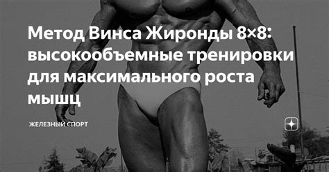 Метод Винса Жиронды 8×8 высокообъемные тренировки для максимального
