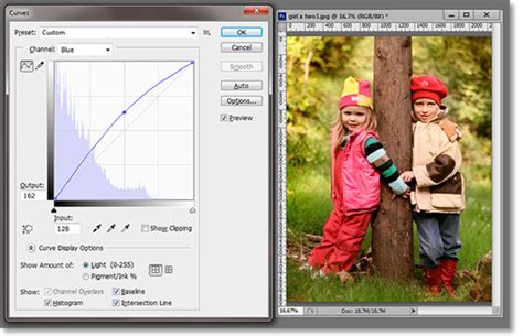 Final Image Using Curves Adjusment Layer And Mask