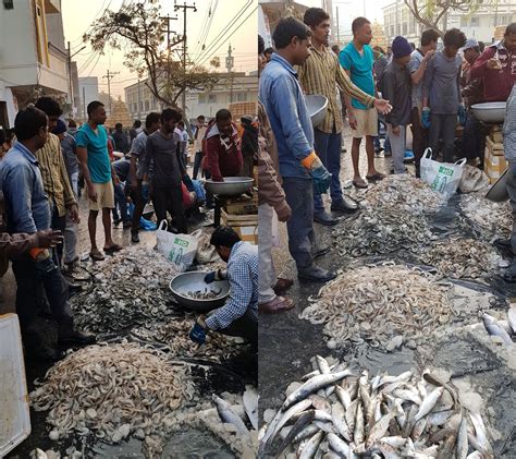 Raghus Column Ramnagar Fish Market Our Citys Largest Fish Market