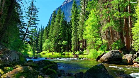 River Wallpapers Wallpaper Cave