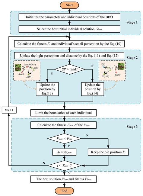 Joint Light Sensitive Balanced Butterfly Optimizer For Solving The Nlo