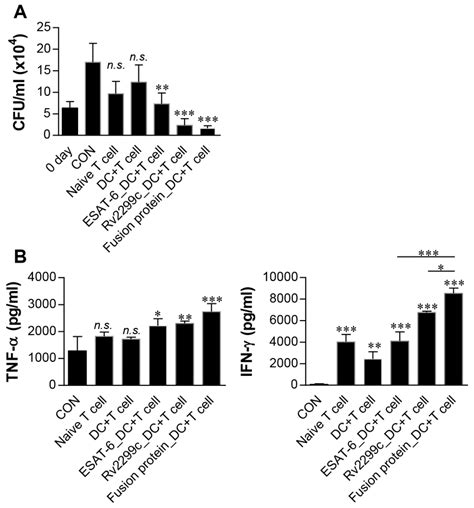 Inhibition Of Intracellular Mtb Growth By T Cells Activated With
