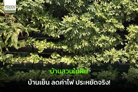 บ้านสวนในฝัน บ้านเย็น Kreenplus กระถางต้นไม้สวนแนวตั้ง