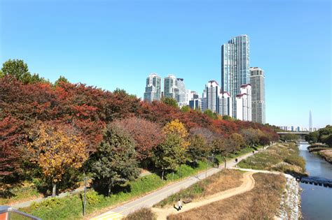 강남사진관 깊어가는 강남의 가을 강남구청 강남소식 강남이슈