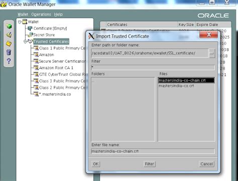 how to create oracle wallet to secure external password
