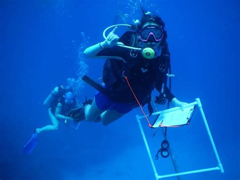 Scientific Diving Training At Floridainternational University