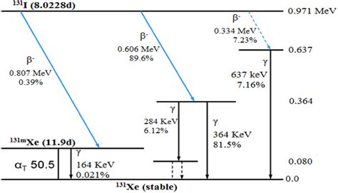 Decay Scheme of Radioactive Iodine ¹³¹I ⁹ Download Scientific Diagram