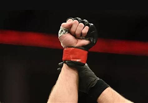آغاز رقابت های Ufc از ماه آینده اخبار رزمی اخبار ورزشی تسنیم
