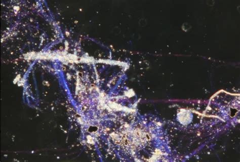 What Is The Australian Standard For Asbestos Testing Global Asbestos Audits