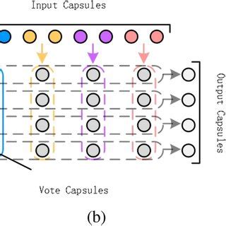 Demonstration Of Capsules Forwarding Between Layers A Each Input