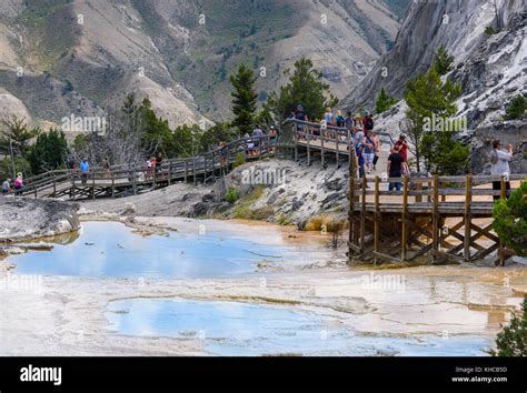 Mammoth Hot Springs Pools With Boardwalk Walkway Tourists People