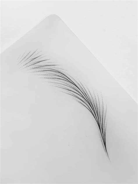 Ghim Trên Eyelash Lông Mày Ý Tưởng Trang điểm Phun Xăm