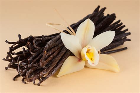 1k Vanilla Pictures Download Free Images On Unsplash