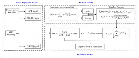 Overview Of Modeling Of Interaction Between Nirs And Abp Signals Download Scientific Diagram