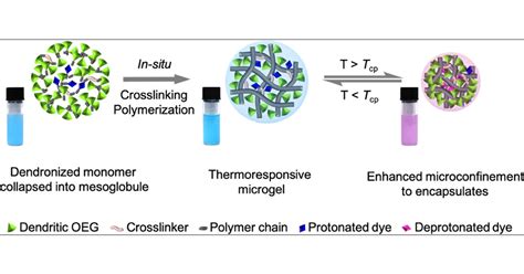 Thermoresponsive Dendronized Microgels Through In Situ Cross Linking
