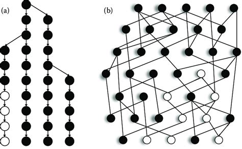 4 Propagation Of Mutation In Asexual A And Sexual B Lineages New