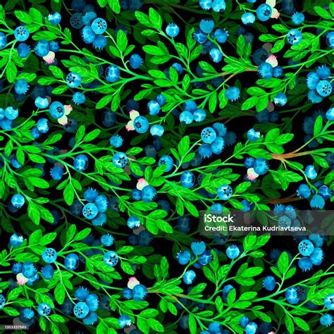 블루베리스 원활한 패턴 수채화 빈티지 일러스트 흰색 배경에 격리 당신의 디자인에 대한 빌베리 과일에 대한 스톡 벡터 아트 및 기타 이미지 Istock