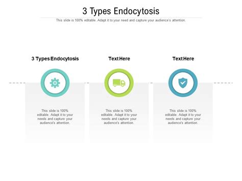 3 Types Endocytosis Ppt Powerpoint Presentation Inspiration Icons Cpb