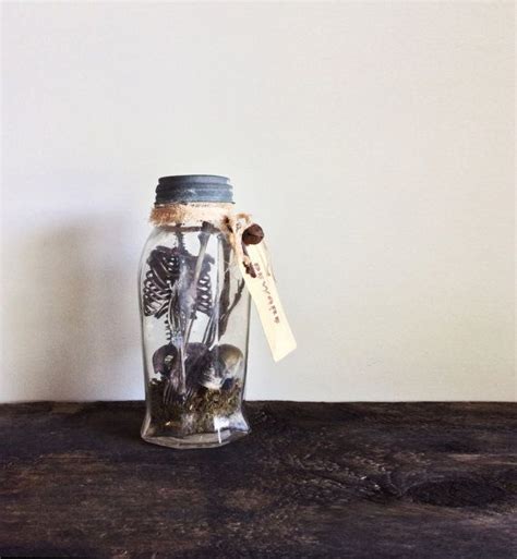 Reserved Bones Skeleton In Vintage Jar Etsy Vintage Jars Vintage Jar