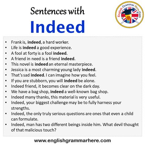 Sentences With Indeed Indeed In A Sentence In English Sentences For