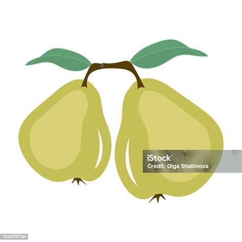 Closeup Dari Dua Pir Hijau Utuh Pada Latar Belakang Putih Ilustrasi