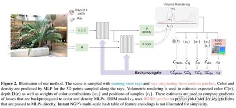 Diffusionerf Regularizing Neural Radiance Fields With Denoising