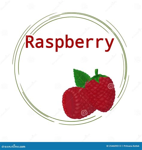 Raspberry Fruit With Hand Drawing Stock Illustration Illustration Of