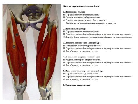 Боль В Тазобедренном Суставе При Поперечном Шпагате — Buy