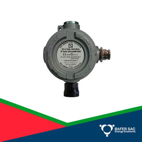 BAFER SAC Instalación de Gas Natural y GLP Comercial e Industrial