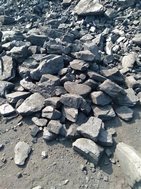Bituminous Coal Bituminous Coal Dust Latest Price Manufacturers And Suppliers