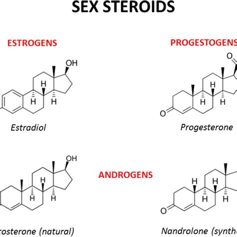 Chemical Structures Of The Main Male And Female Sex Hormones And The