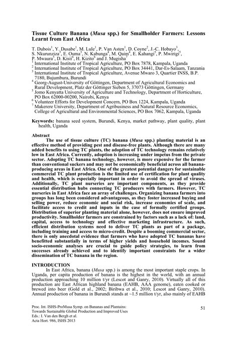 Pdf Tissue Culture Banana Musa Spp For Smallholder Farmers Lessons Learnt From East Africa