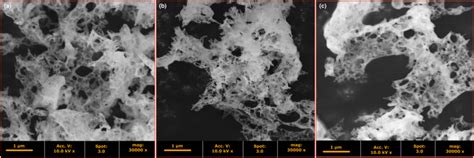 Sem Pictures Of A Undoped Ceo2 B Ceo2 Gd³⁺ 6 Mol C Ceo2