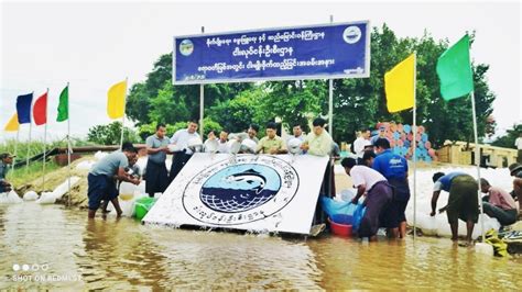 ဧရာဝတီမြစ်အတွင်း ငါးမျိုးစိတ်စုစုပေါင်း ၈ သိန်း စိုက်ထည့် Information