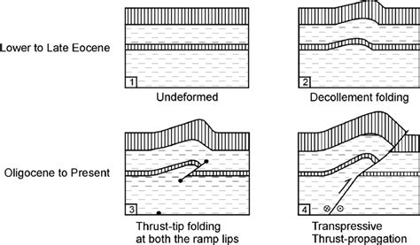 Evolutionary Model For Thrust Related Folds In Campo Del Medio And