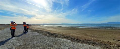 Shira Eilenberg Posted On Linkedin