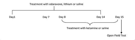 Schematic Representation Of The Experimental Design Download