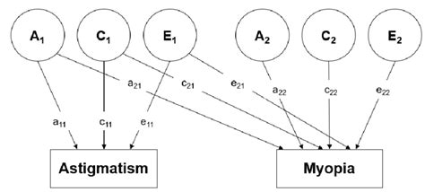 Bivariate Path Modelling For Astigmatism And Myopia Cholesky