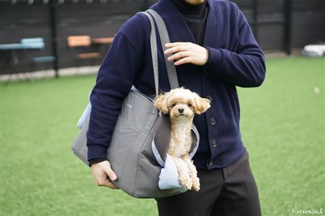 강아지 이동가방 추천 중형견이동가방 반려견가방 리카리카 쿠션백 네이버 블로그