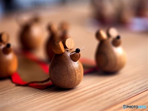 子孫繁栄 By Ti （id：9260100） 写真共有サイトphotohito