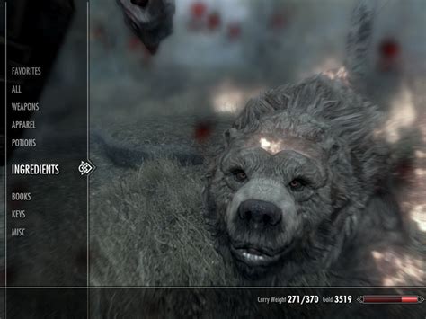 Bear Wallpaper Imgur