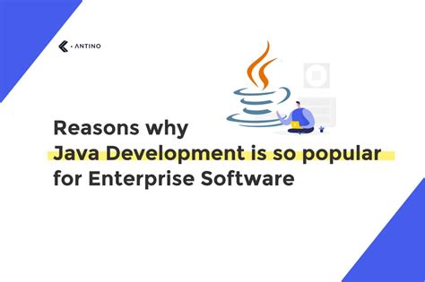 reasons why java development is so popular for enterprise software