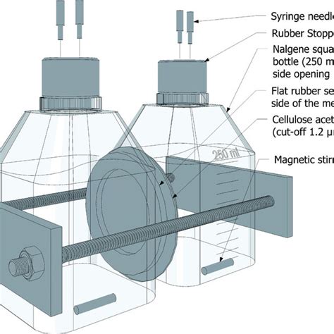 Schematic Representation Of The Double Compartment Membrane System