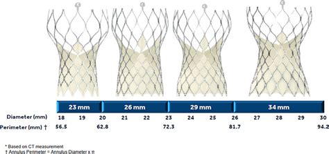 Corevalve Evolut R Size Selection According To Range Of Native Aortic