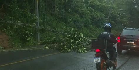 Ilhéus Registra Alagamentos Por Causa Da Forte Chuva árvore Caiu E